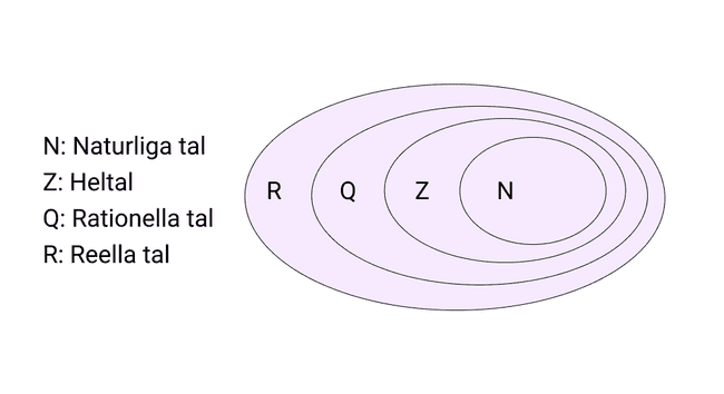 Allt du behöver veta om reella tal